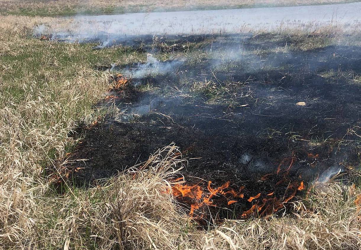 Patch burning may lower supplemental feed costs - Johnston County Sentinel